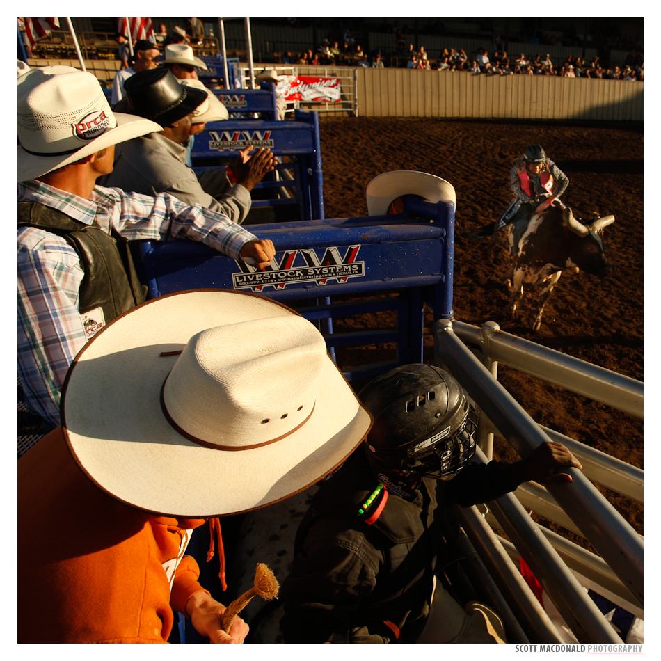 Rodeo At The Fair Scott Macdonald Photography