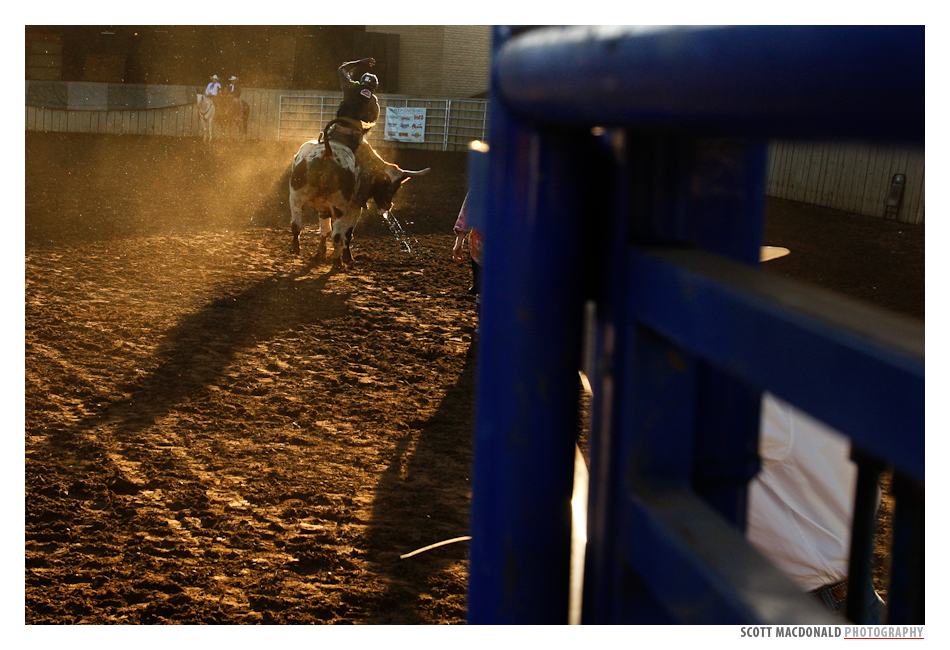 Rodeo At The Fair Scott Macdonald Photography