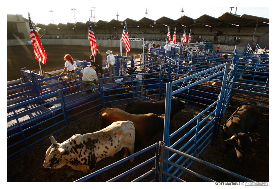 Rodeo At The Fair Scott Macdonald Photography